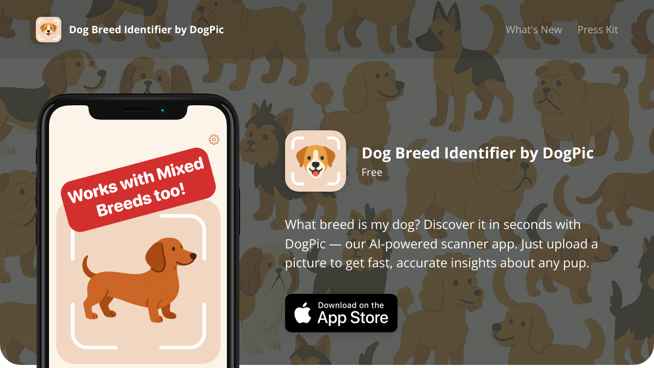 Dog Breed Identifier by DogPic: A Comprehensive AI Tool for Accurate ...