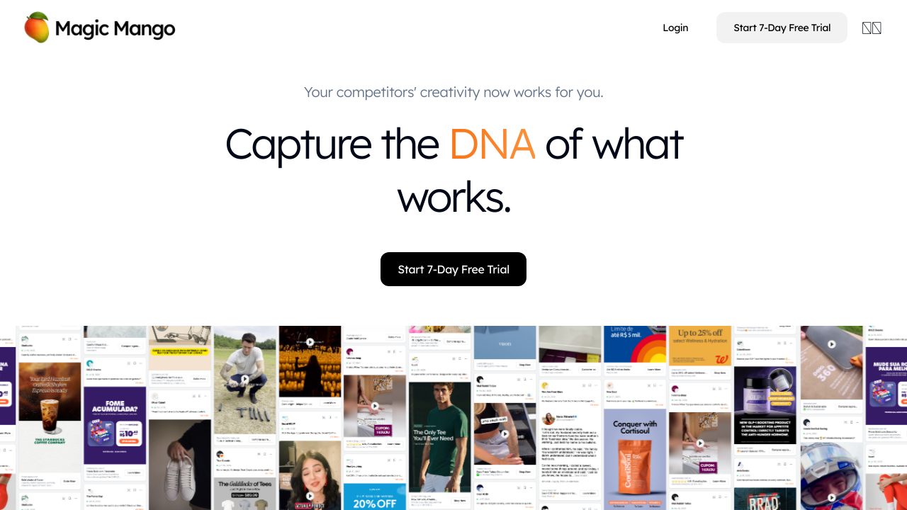 Magic Mango: Reverse-Engineer Ad Creatives with AI | ChatGate
