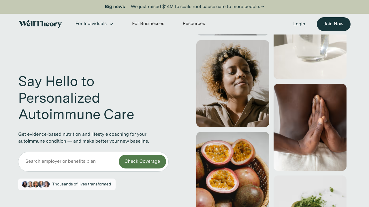 WellTheory: Personalized Autoimmune Care with Coaching | ChatGate